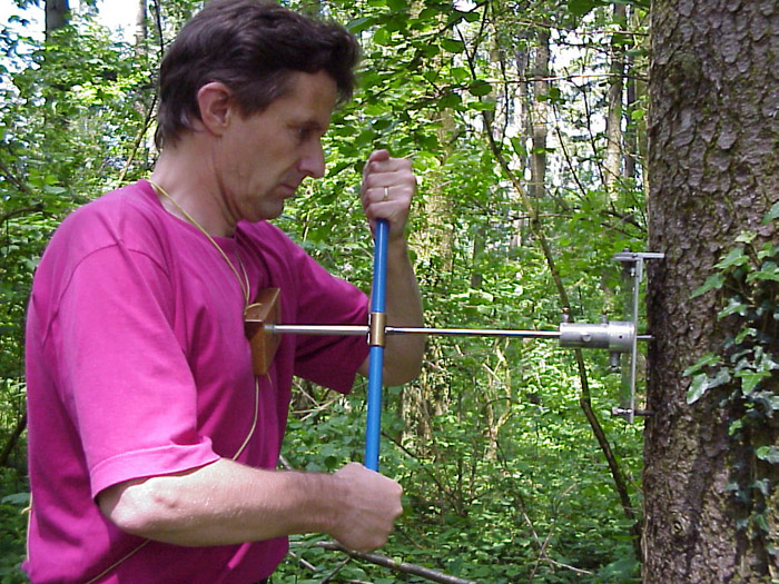 Applications and the Biological Basis of Tree Rings: A ...
