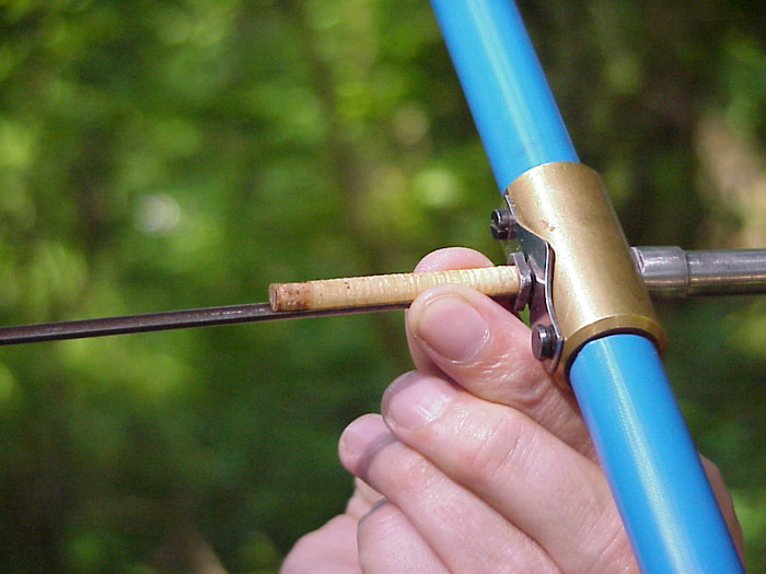 Applications and the Biological Basis of Tree Rings: A ...