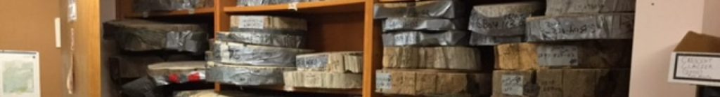 Learn About Dendrochronology | The College of Wooster Tree Ring Lab