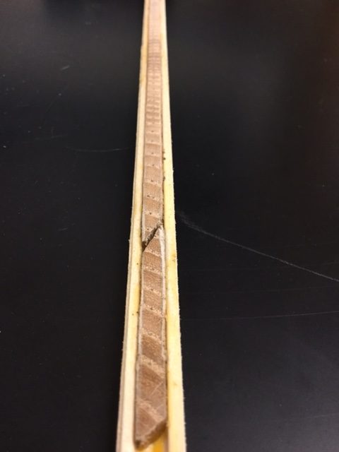 Learn About Dendrochronology | The College of Wooster Tree Ring Lab