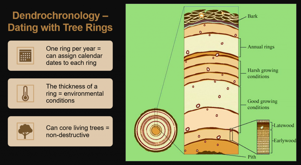 Summer Research | The College of Wooster Tree Ring Lab